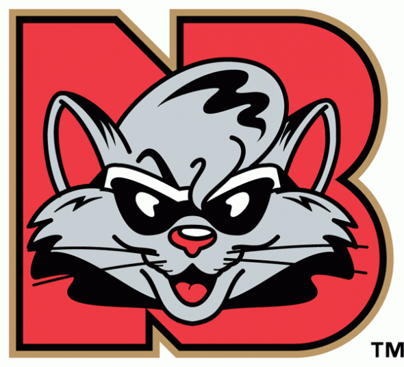 Rock ‘n’ Roll Cats: The Story Behind the New Britain Rock Cats ...