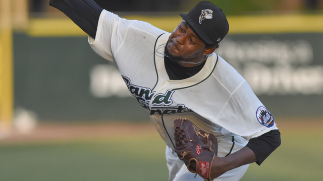 This Team Bites: The Story Behind the Savannah Sand Gnats – SportsLogos ...