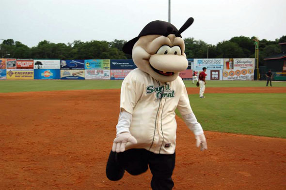 This Team Bites: The Story Behind the Savannah Sand Gnats – SportsLogos ...