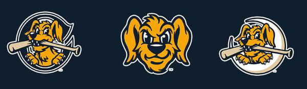 Charleston RiverDogs unveil updated look for the 2016 season ...