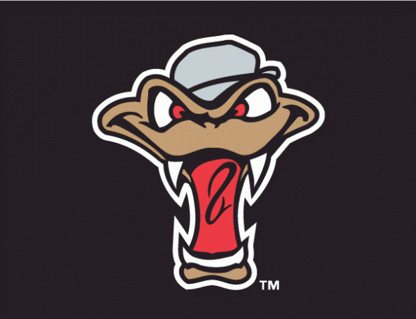 Snake, Rattle, and Roll: The Story Behind the Wisconsin Timber Rattlers ...