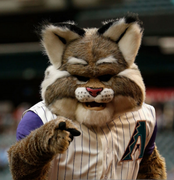 A Brand with Some Bite: The Story Behind the Arizona Diamondbacks ...