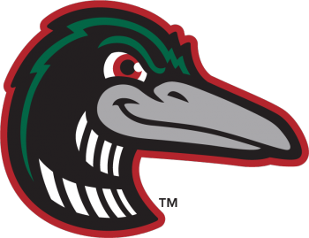 New Great Lake Loons logo evokes summertime in Michigan – SportsLogos ...