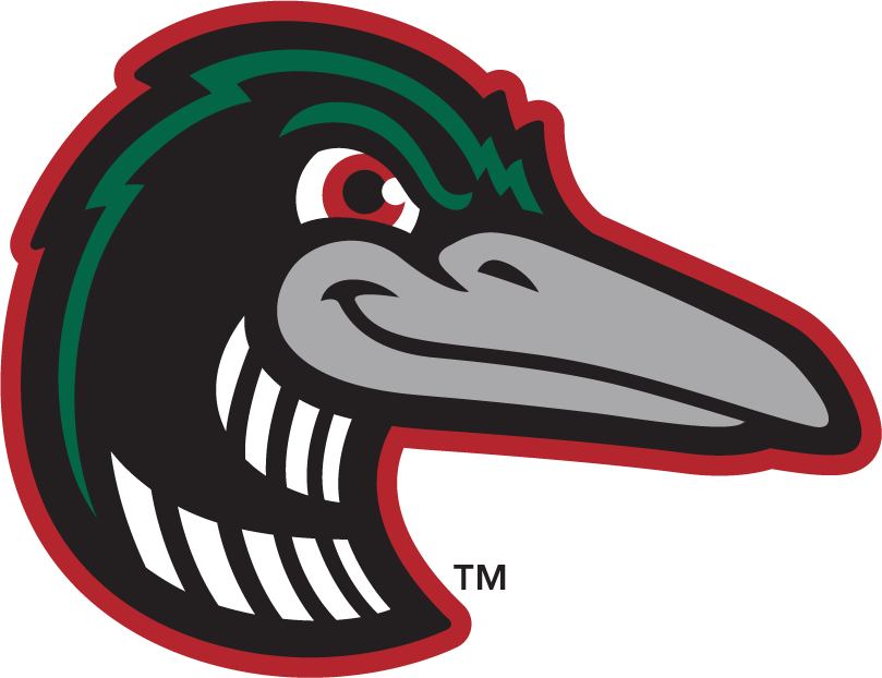 New Great Lake Loons logo evokes summertime in Michigan – SportsLogos ...