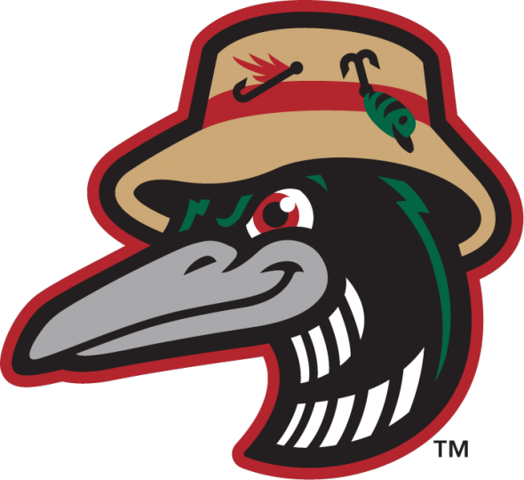 New Great Lake Loons logo evokes summertime in Michigan – SportsLogos ...