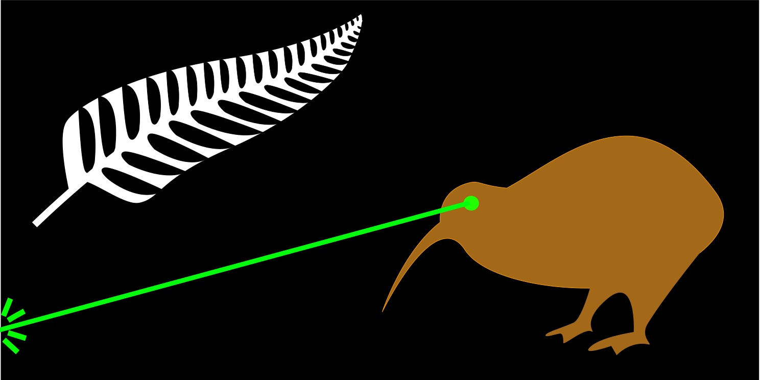 The Iconic Silver Fern of New Zealand: The Story of the All Blacks ...