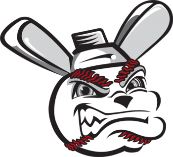 Cleared for Takeoff: The Story Behind the Wichita Wingnuts ...