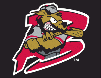 Chopping Onions: The Story Behind the Batavia Muckdogs – SportsLogos ...