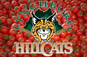 Lynchburg Hillcats name options include Derechos, Lamb Chops ...