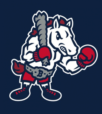 Binghamton Mets transform into Binghamton Rumble Ponies – SportsLogos ...