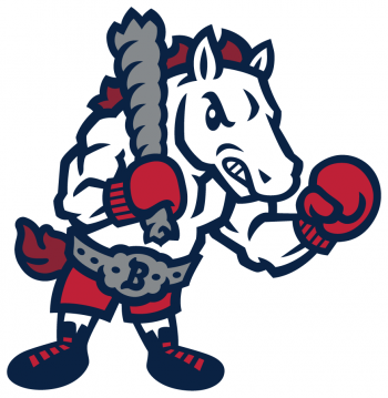 Rocking Horse: The Story Behind the Binghamton Rumble Ponies ...