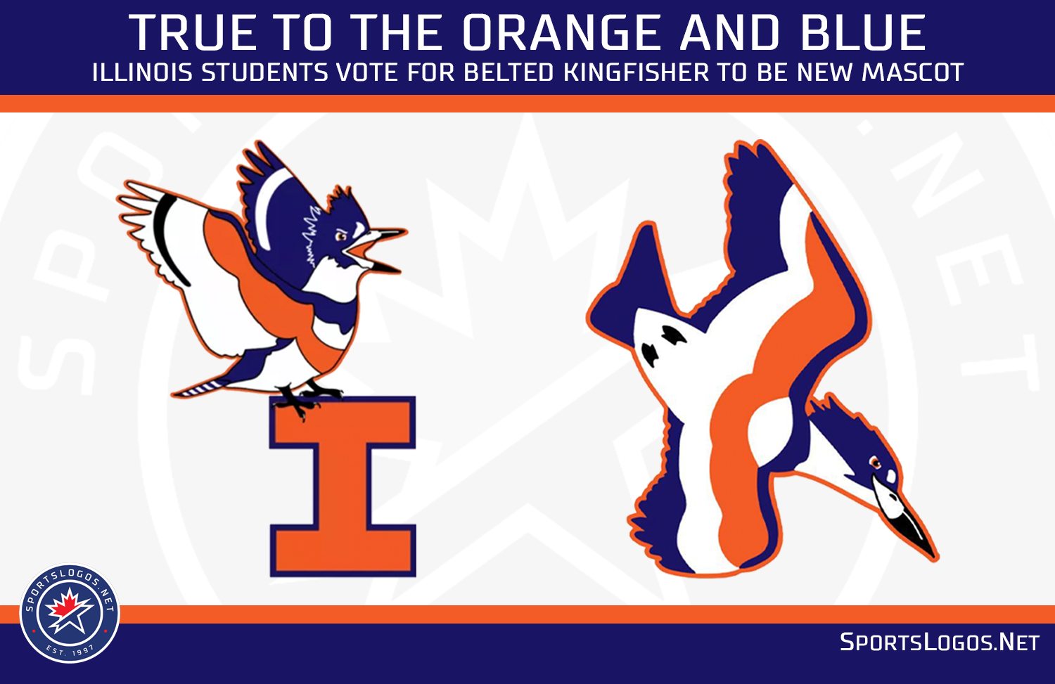 Illinois Students Vote In Favor Of Belted Kingfisher Mascot ...