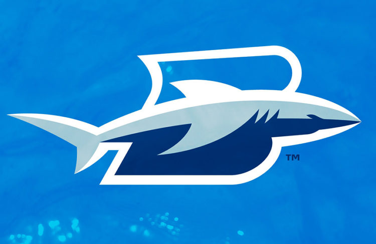 The Spring League Kicks Off 2020 Fall Season With New Teams, Logos ...