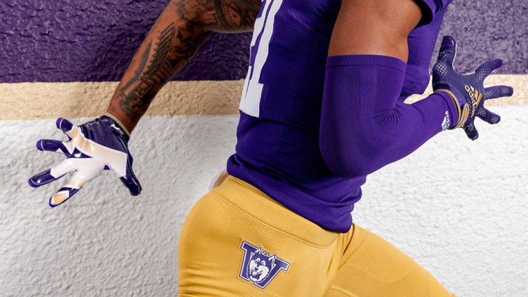 Washington Huskies To Celebrate 1991 National Championship With ...