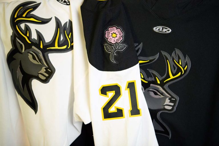 ECHL’s Iowa Heartlanders Unveil New Uniforms – SportsLogos.Net News