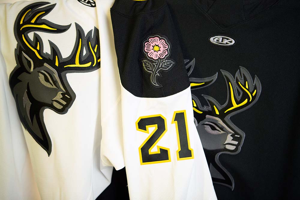 ECHL’s Iowa Heartlanders Unveil New Uniforms – SportsLogos.Net News