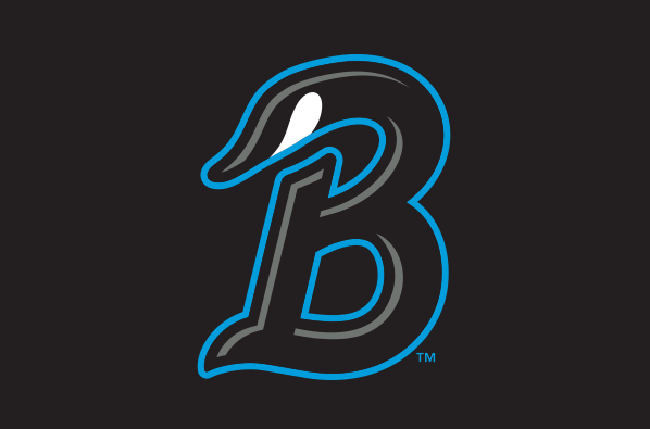 At long last, Beloit Sky Carp take to the sky – SportsLogos.Net News