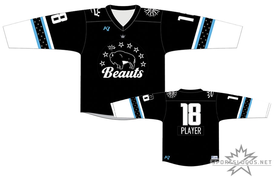 LINK: Premier Hockey Federation logos on SportsLogos.Net