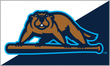 Wisconsin Woodchucks update logos, rebrand as Wausau Woodchucks ...