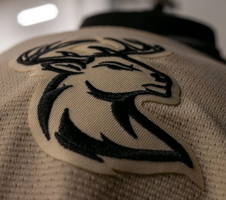 The Iowa Heartlanders, an expansion team for the current 2021-22 ECHL ...