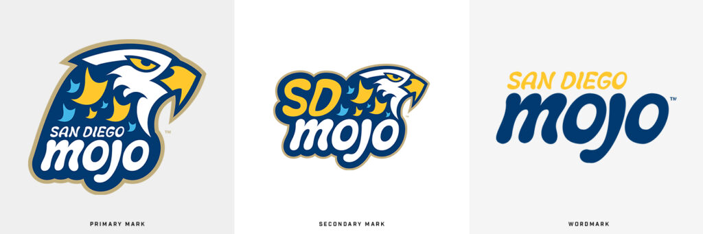 Courtesy Pro Volleyball Federation