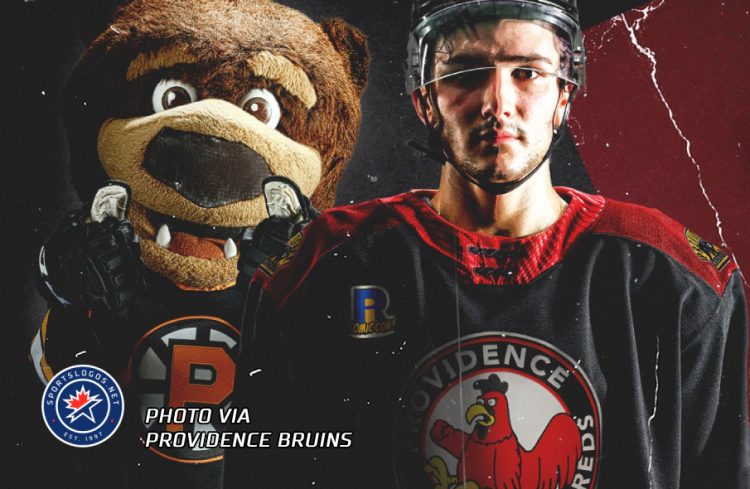 Bird is the word for the American Hockey League’s Providence Bruins as ...
