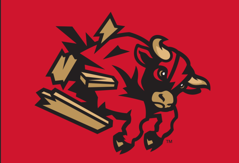 “We landed on the bull for a lot of great reasons, but it was certainly ...