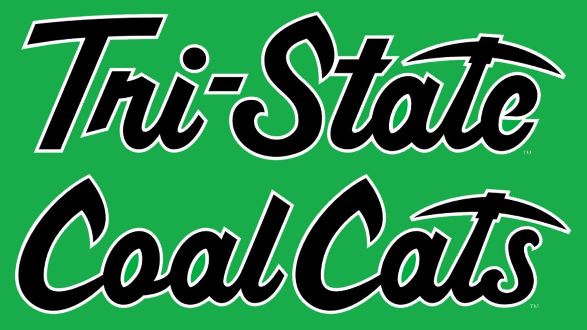 As for the wordmarks, both the capitalized “C” and “S” are inspired by ...