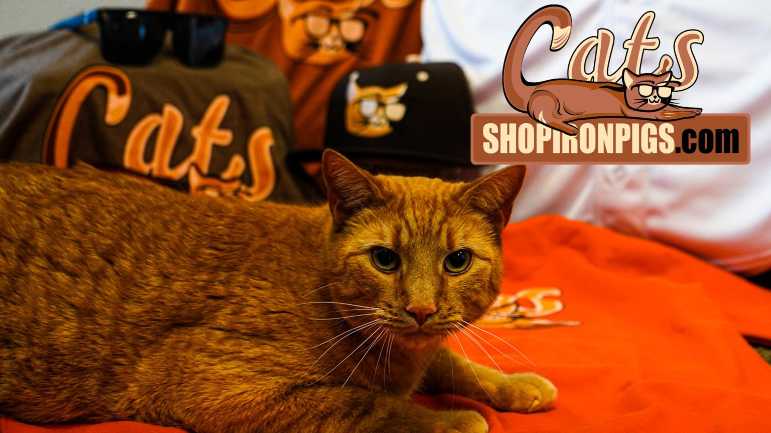 The Cats will take the field April 27.