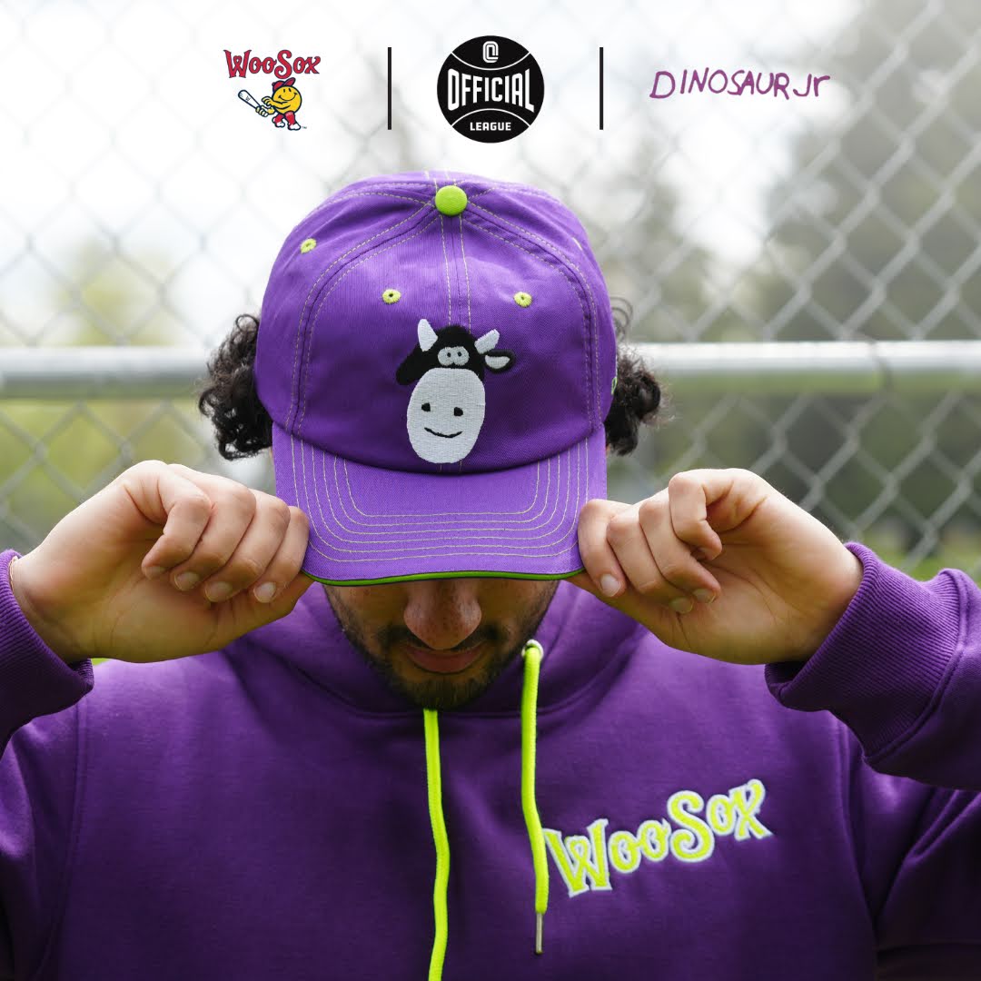 The program will pair the Triple-A Worcester Red Sox—or WooSox, to ...