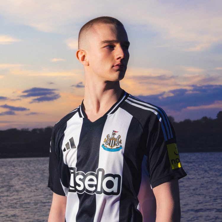 The collar is black with a white stripe through the middle. A classic ...