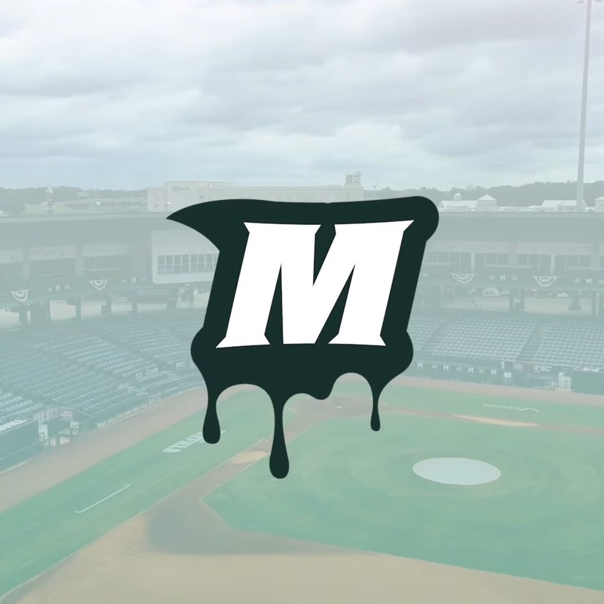 Similarly, a series of wordmarks have a flowy feeling about them, with ...