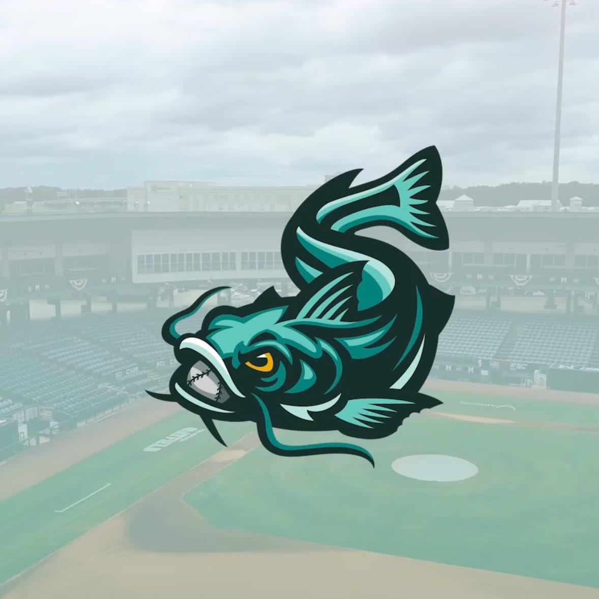 Similarly, a series of wordmarks have a flowy feeling about them, with ...