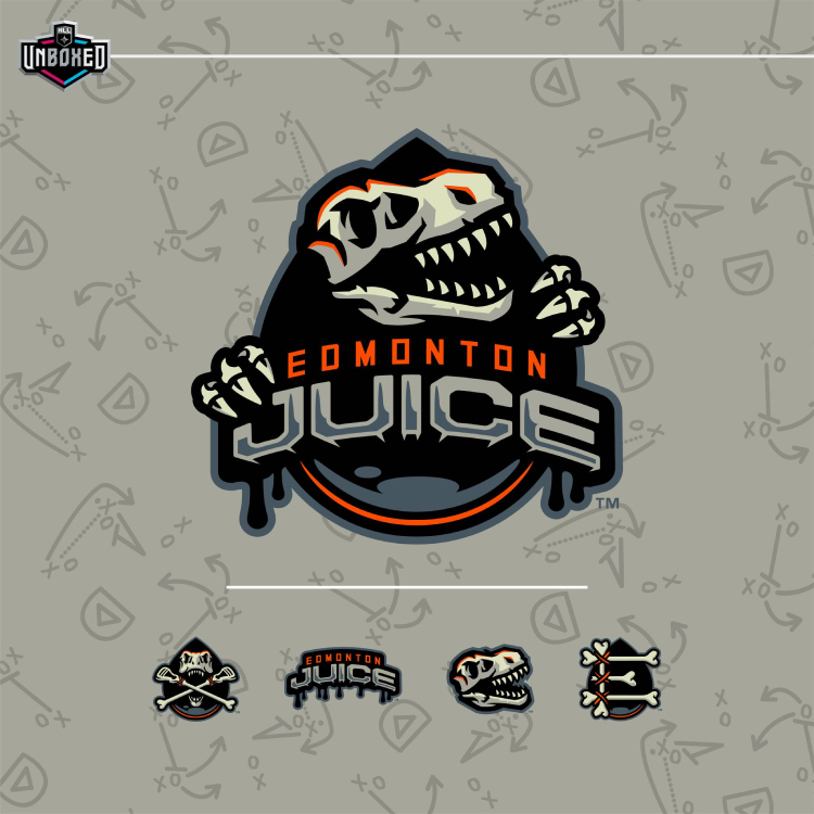 INDIANAPOLIS CHECKERS