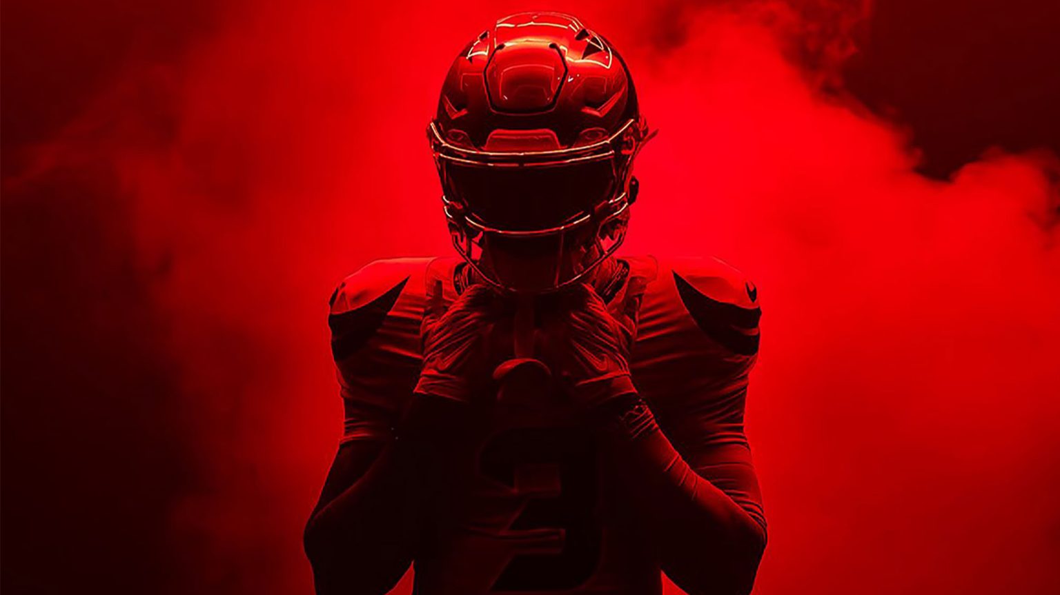 Photo courtesy of @HoustonTexans on X/Twitter.