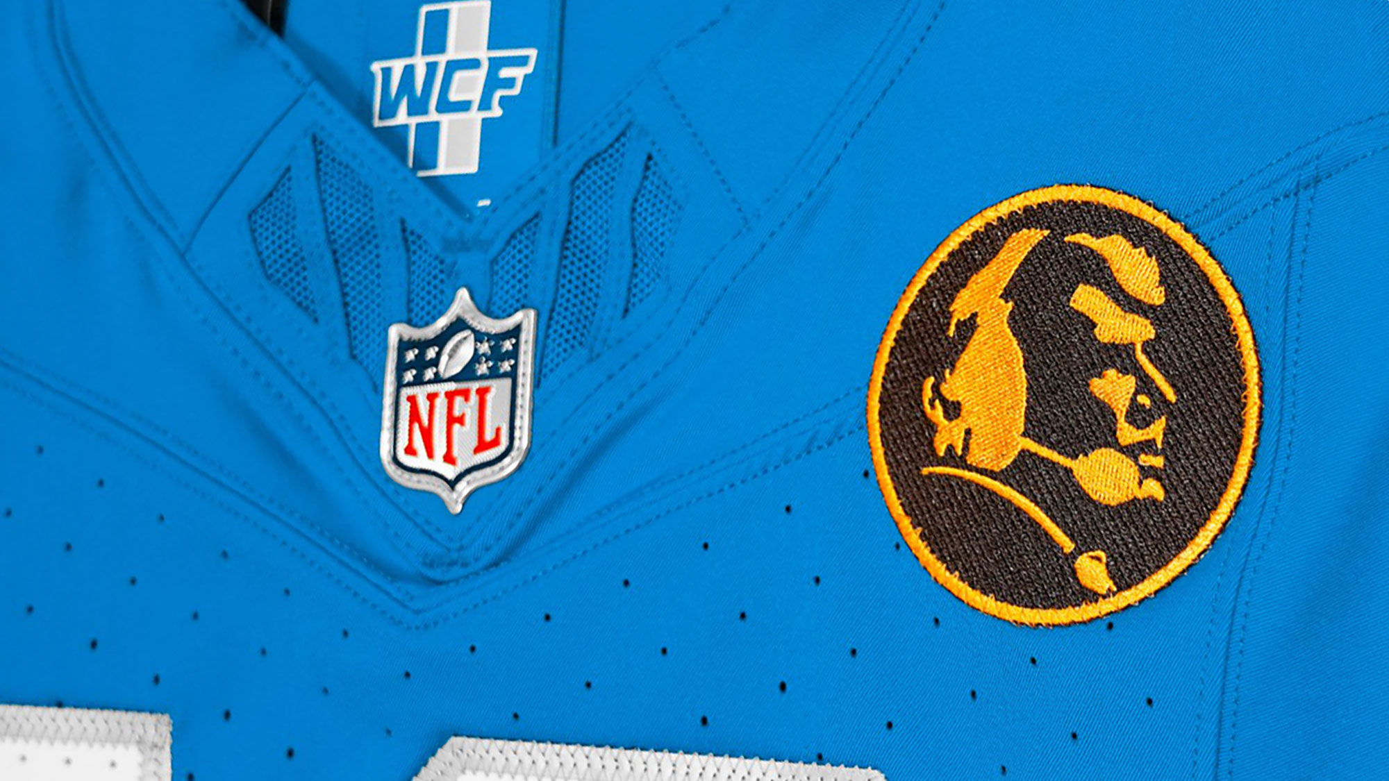 Photo courtesy of @Lions on X/Twitter.