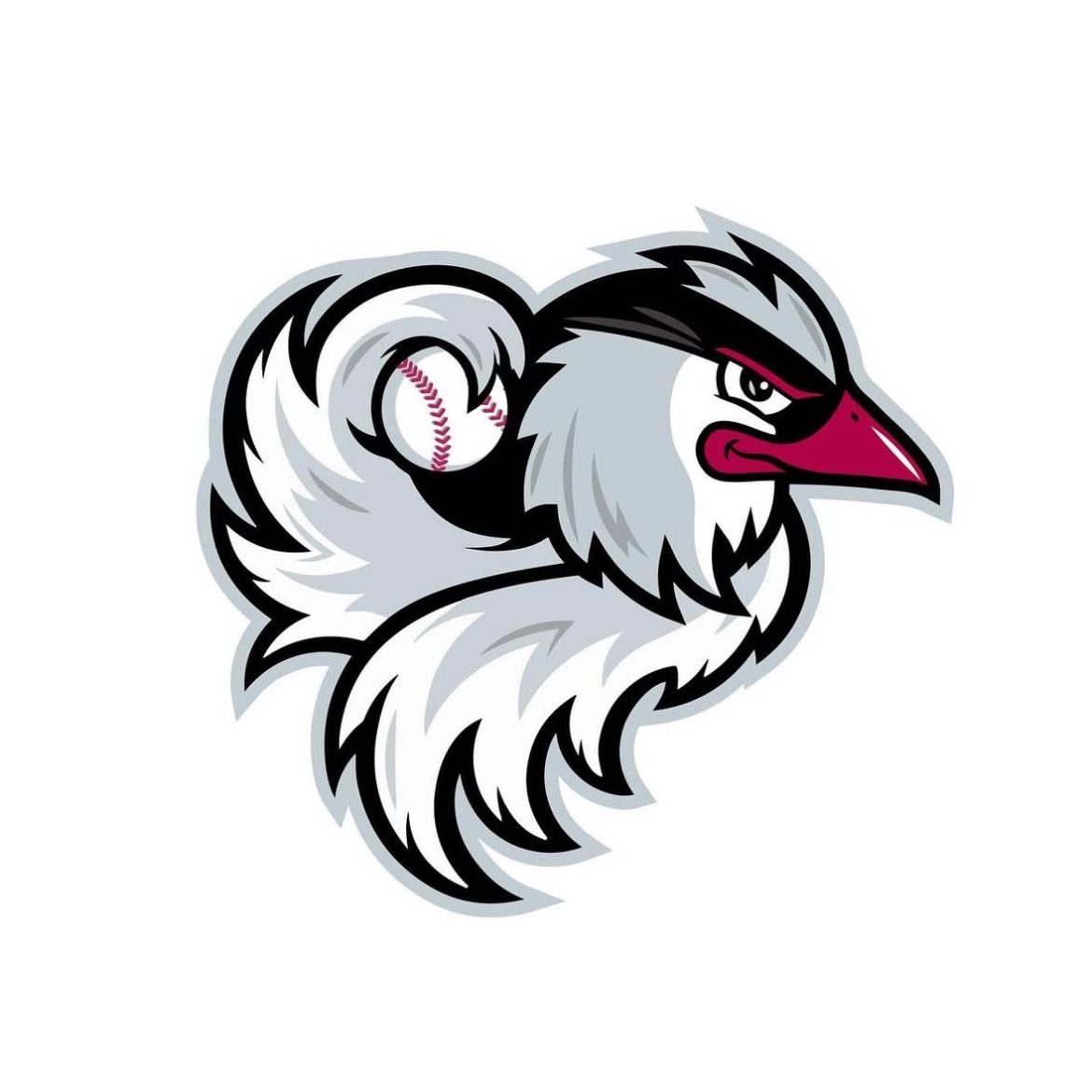 The Idaho Falls Chukars , an independent team embarking on its 21st ...
