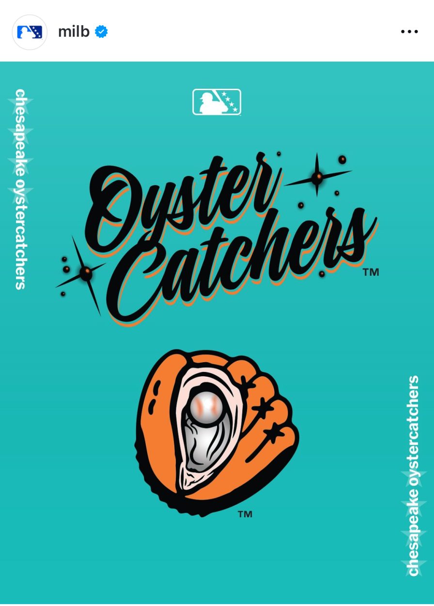 Minor League Baseball team unveils a little too much with alternate identity