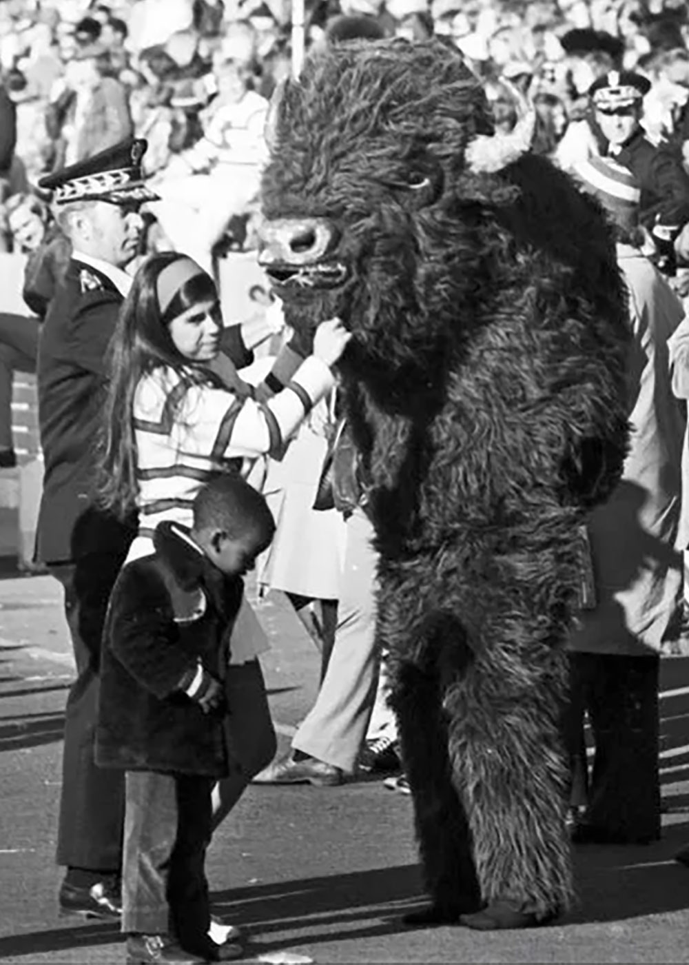 Are The Indiana Hoosiers Bringing Back The Bison As Their Official Mascot?