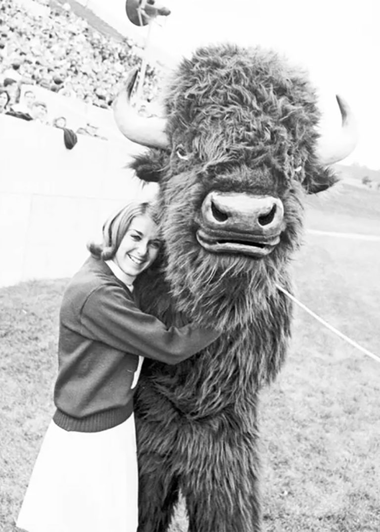 Now, more than 50 years later, it appears the bison is making a ...