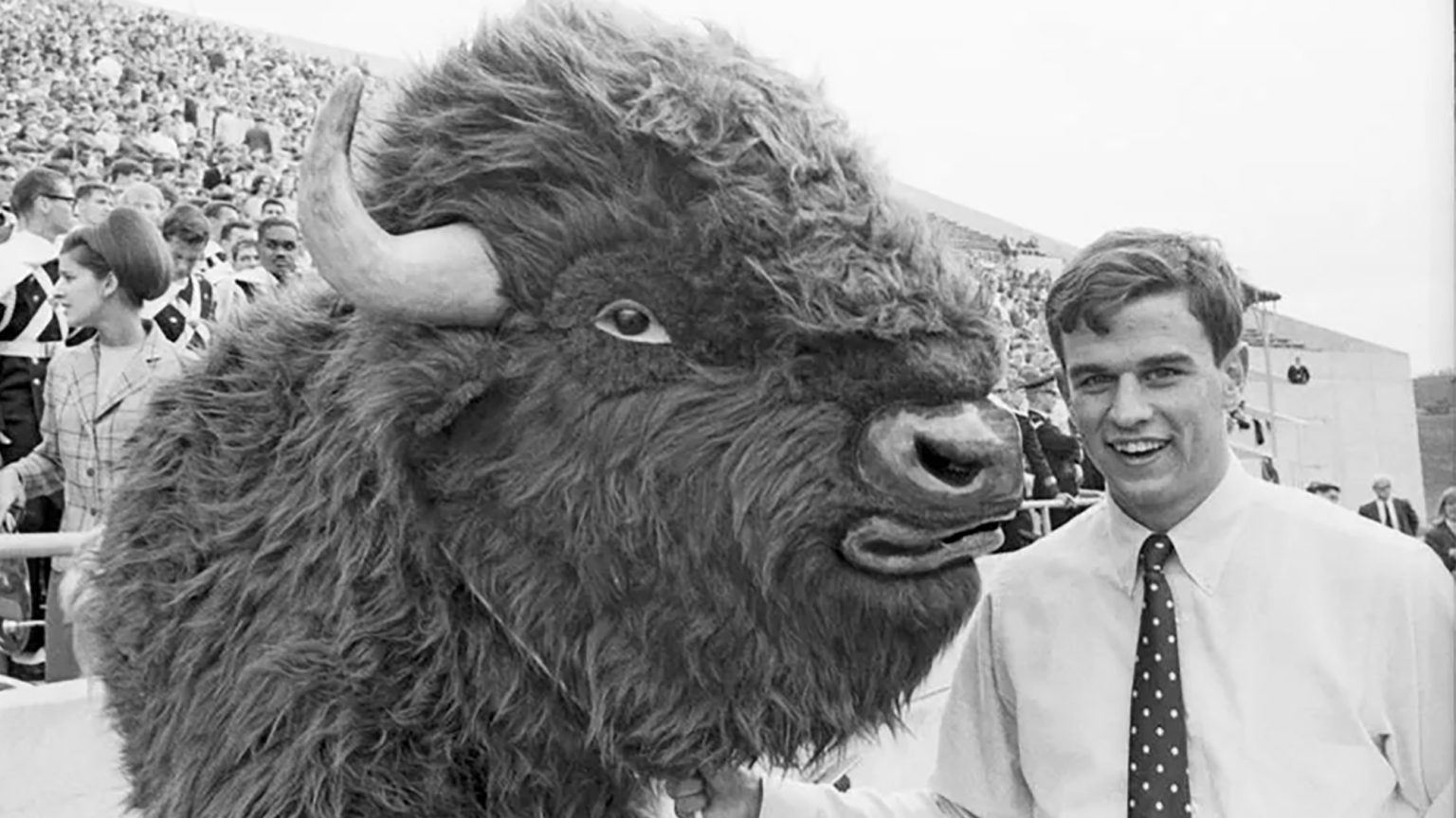 Now, more than 50 years later, it appears the bison is making a ...